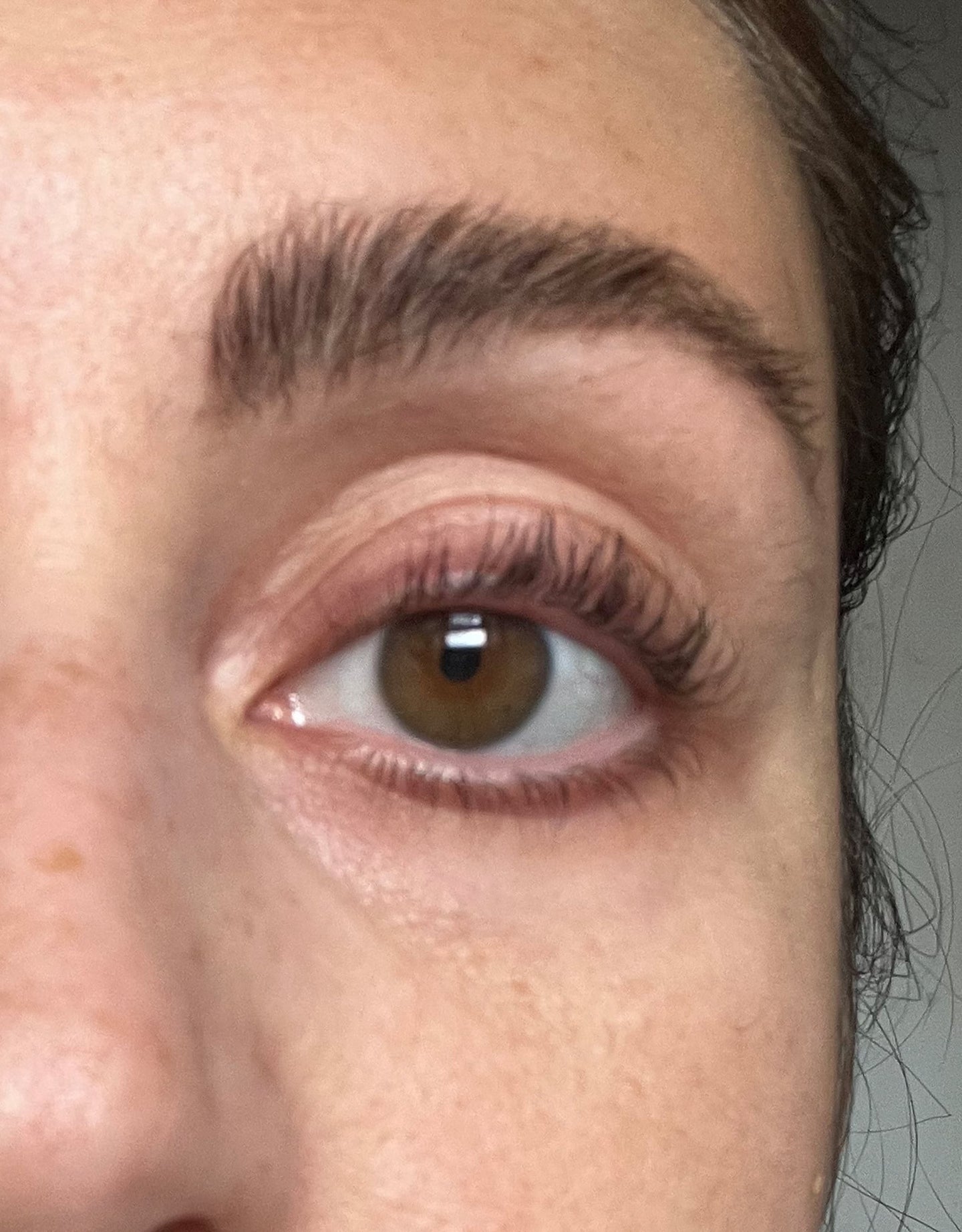 Set Uklash + Ukbrow - Eleva tu mirada | UKLASH® – UKLASH España